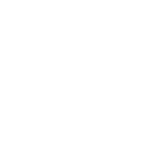 サービス｜株式会社DigitalBlastConsulting